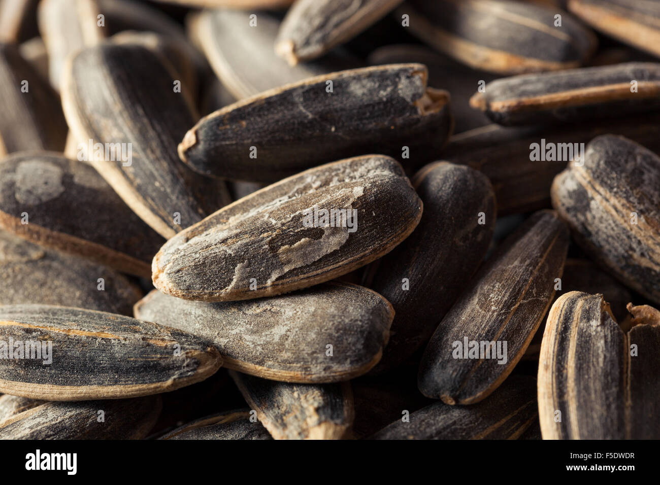 Organic Salted and Roasted Sunflower Seeds Ready to Eat Stock Photo - Alamy