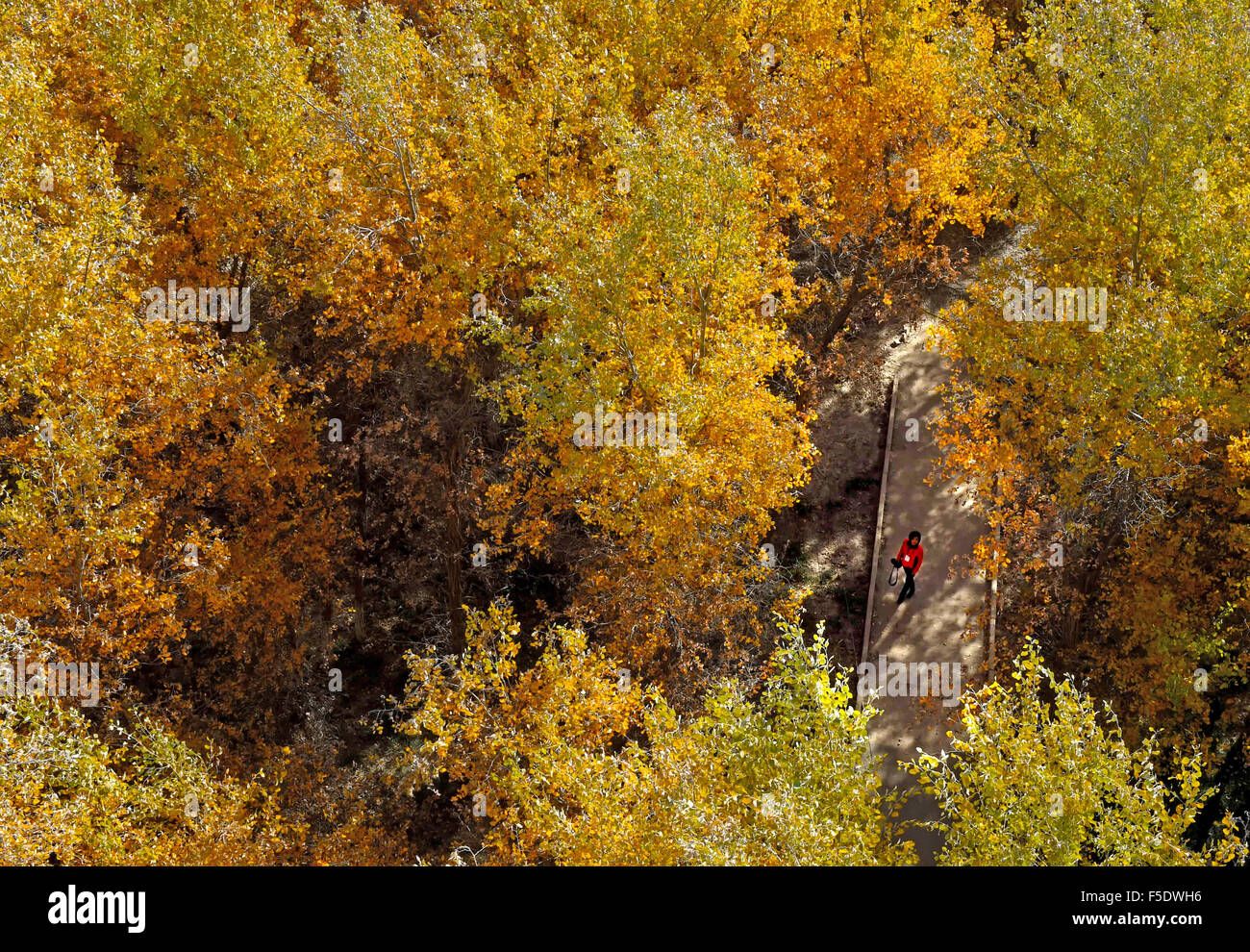 Bachu, China's Xinjiang Uygur Autonomous Region. 2nd Nov, 2015. A ...