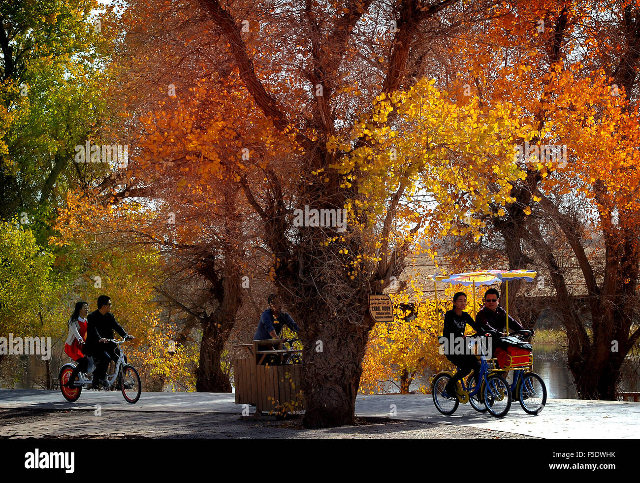 Bachu, China's Xinjiang Uygur Autonomous Region. 2nd Nov, 2015 ...