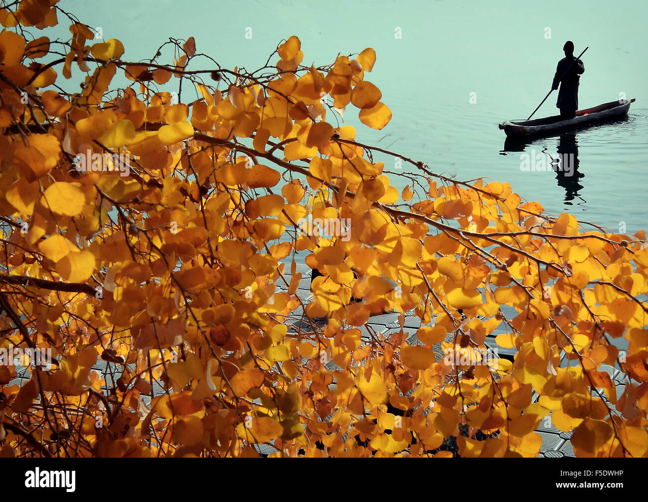 Bachu, China's Xinjiang Uygur Autonomous Region. 2nd Nov, 2015. A local ...