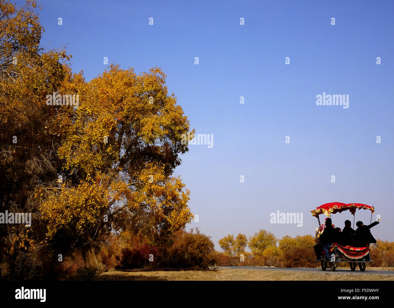 Bachu, China's Xinjiang Uygur Autonomous Region. 2nd Nov, 2015 ...