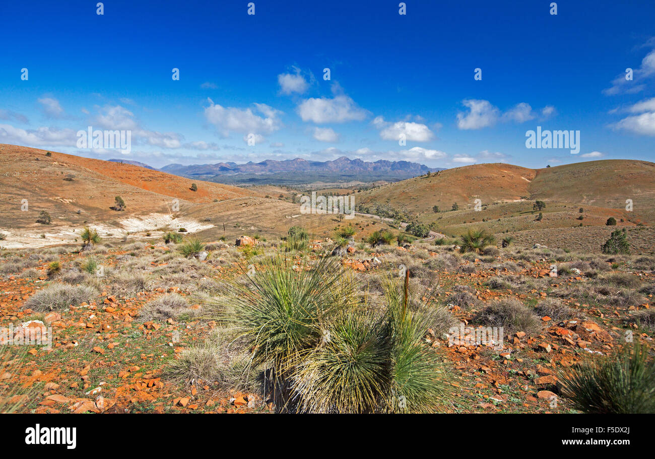 Stunning view of Flinders Ranges with grass trees in foreground, vast ...