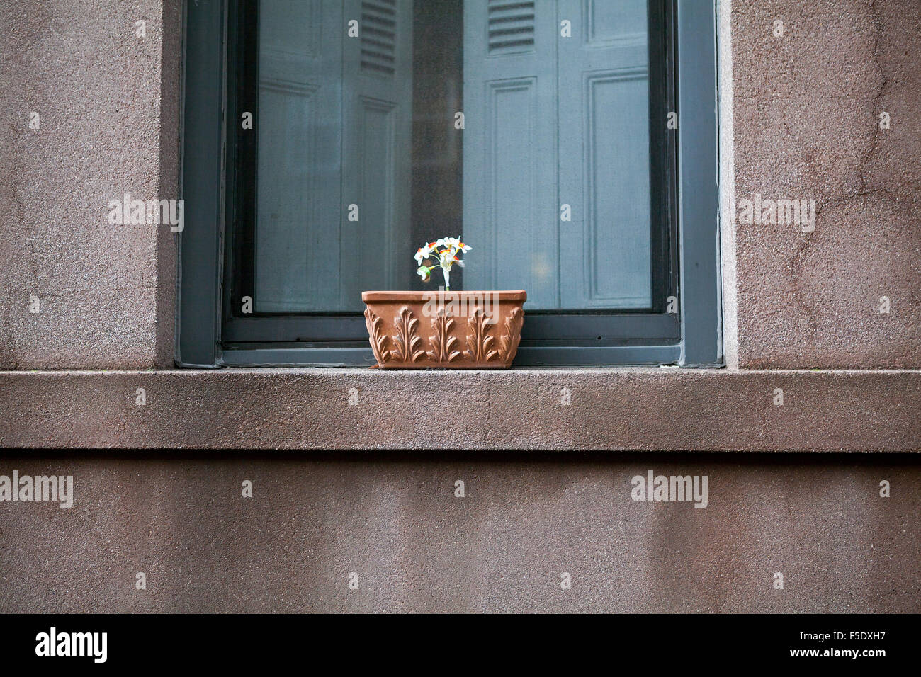 New york window ledge hi-res stock photography and images - Alamy