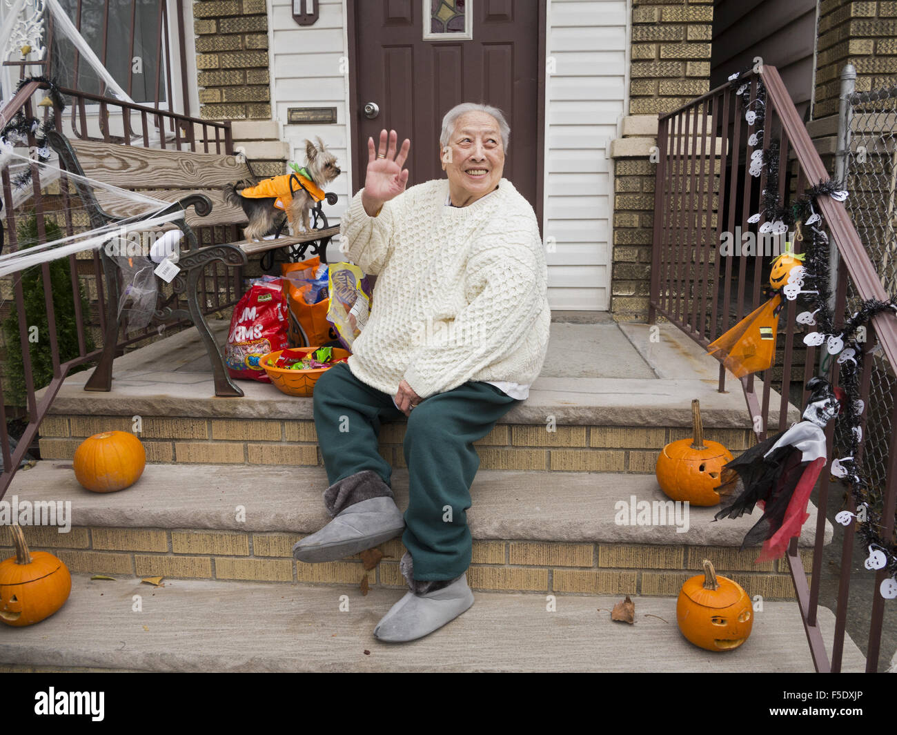 Chinese woman and dog hi-res stock photography and images - Alamy
