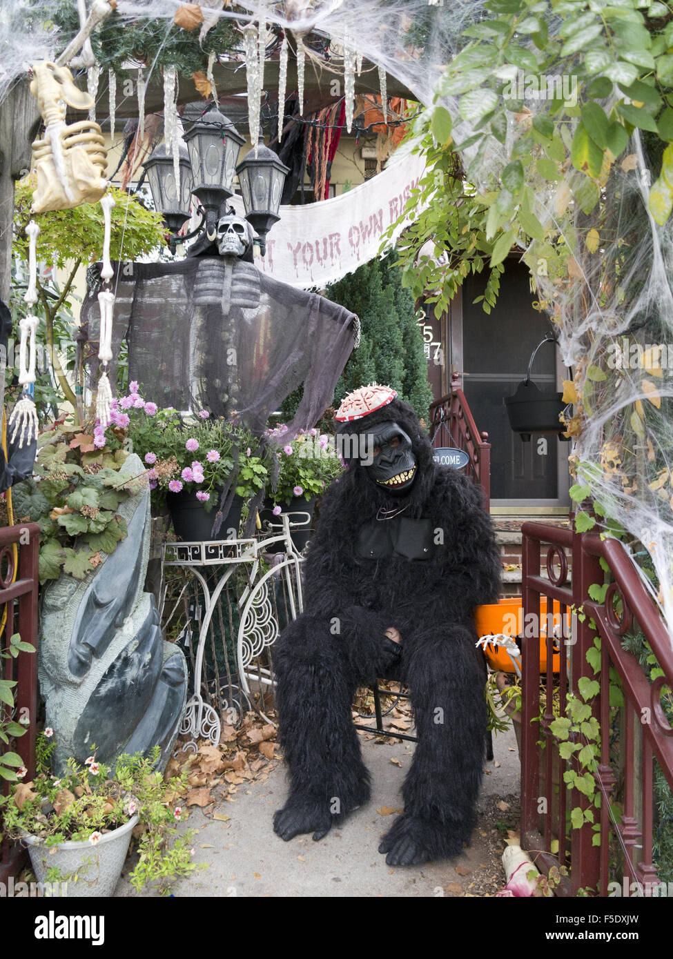Man in ape suit awaits trick-or-treaters on his stoop in the Kensington ...