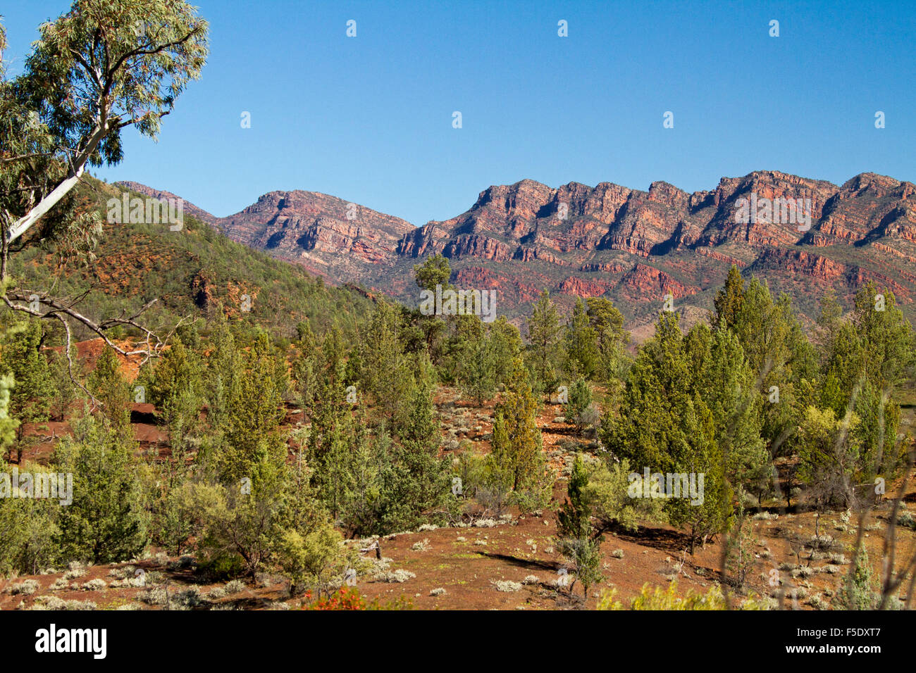 Mountain flinders range hi-res stock photography and images - Alamy