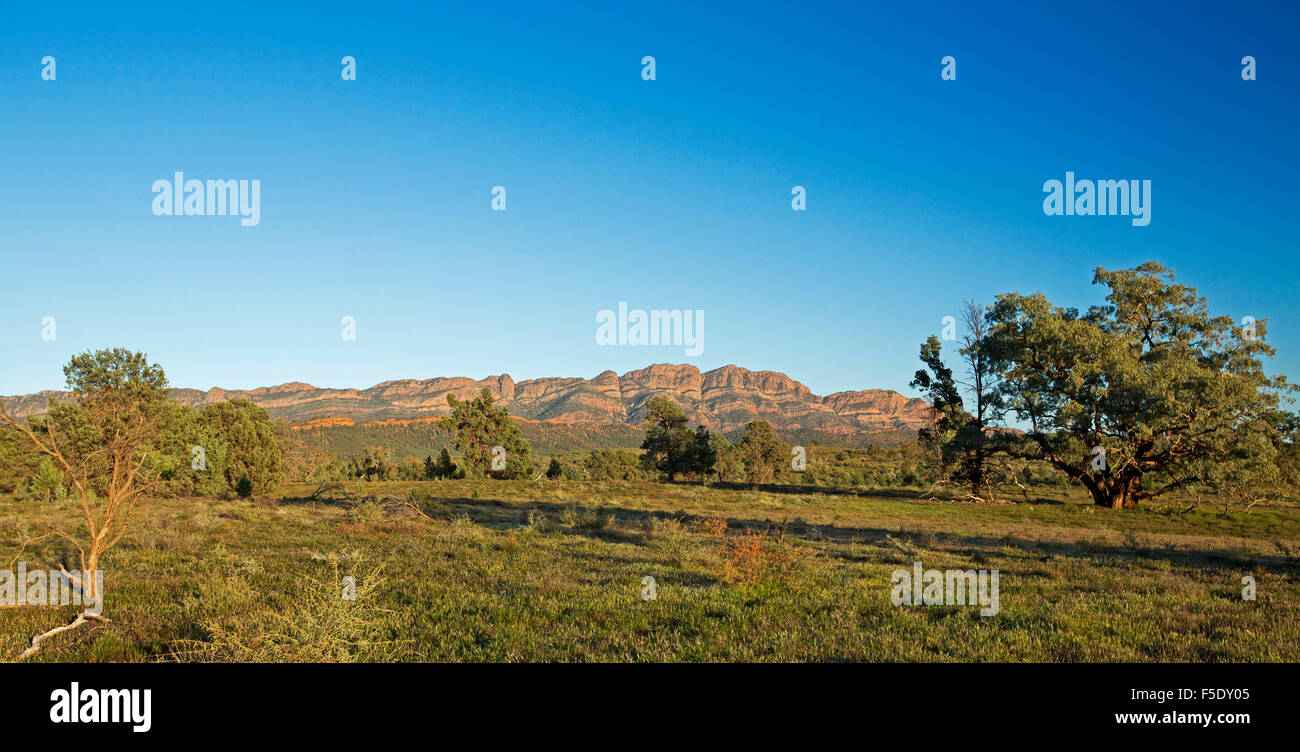 Panoramic outback landscape, red rugged Flinders Ranges peaks rising ...