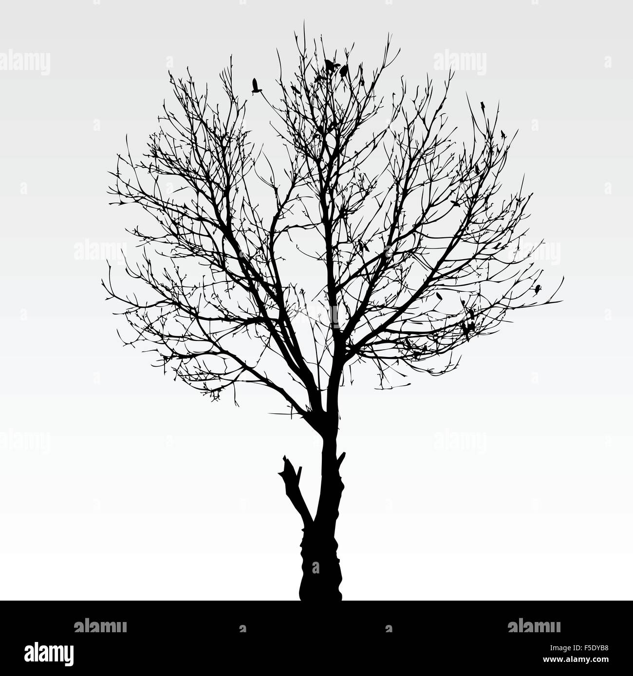 Dry Dried Dead Tree Black Silhouette Stock Vector Image & Art - Alamy