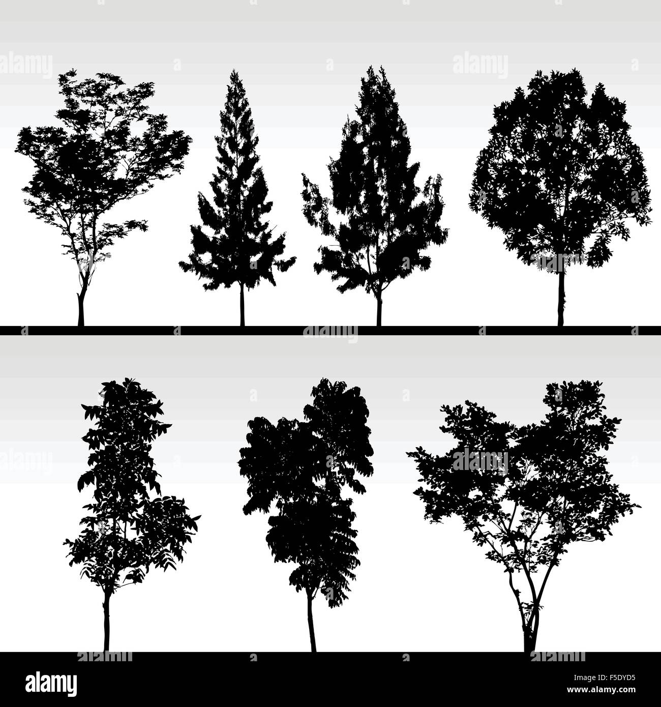 In tropical park palm trees Stock Vector Images - Alamy