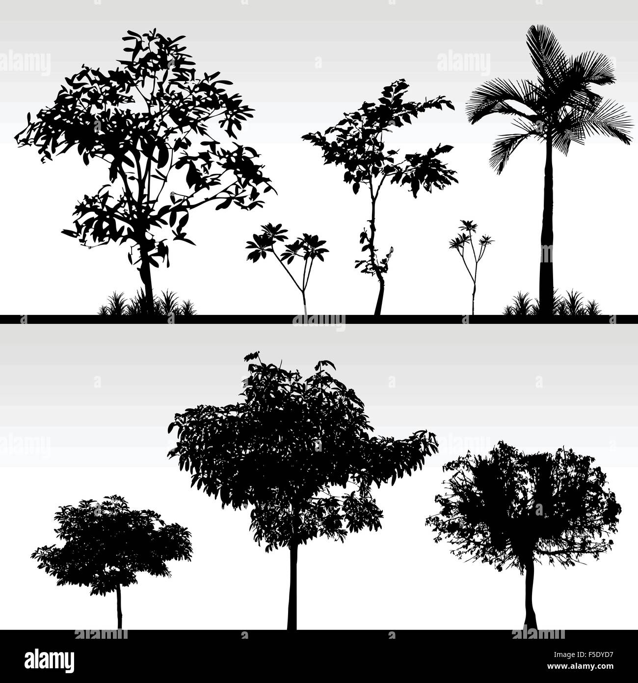 Large green pine tree Stock Vector Images - Alamy