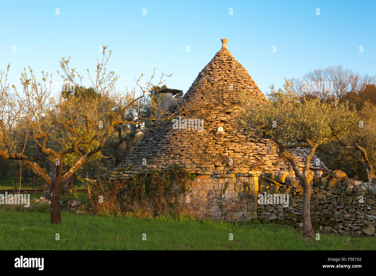Trulli near Alberobello in the evening sun Stock Photo - Alamy
