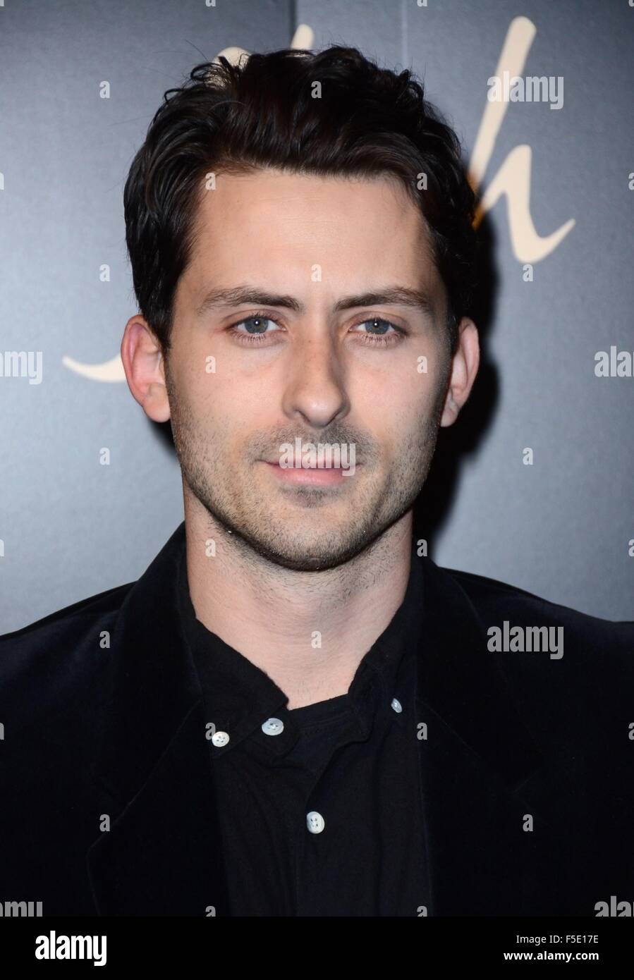 New York, NY, USA. 2nd Nov, 2015. Andy Bean at arrivals for FLESH AND ...