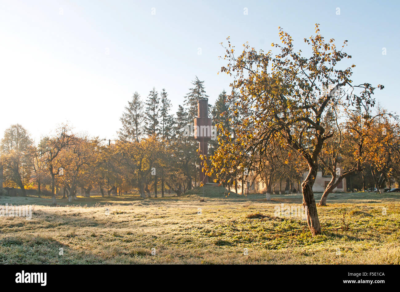 autumn tree is background sky Stock Photo - Alamy
