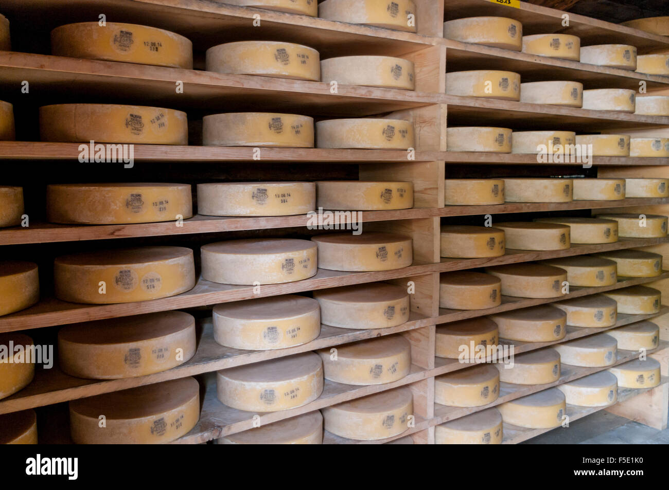 Shelves full of cheese wheels (Berner Alpkäse AOC) in a storage room in ...