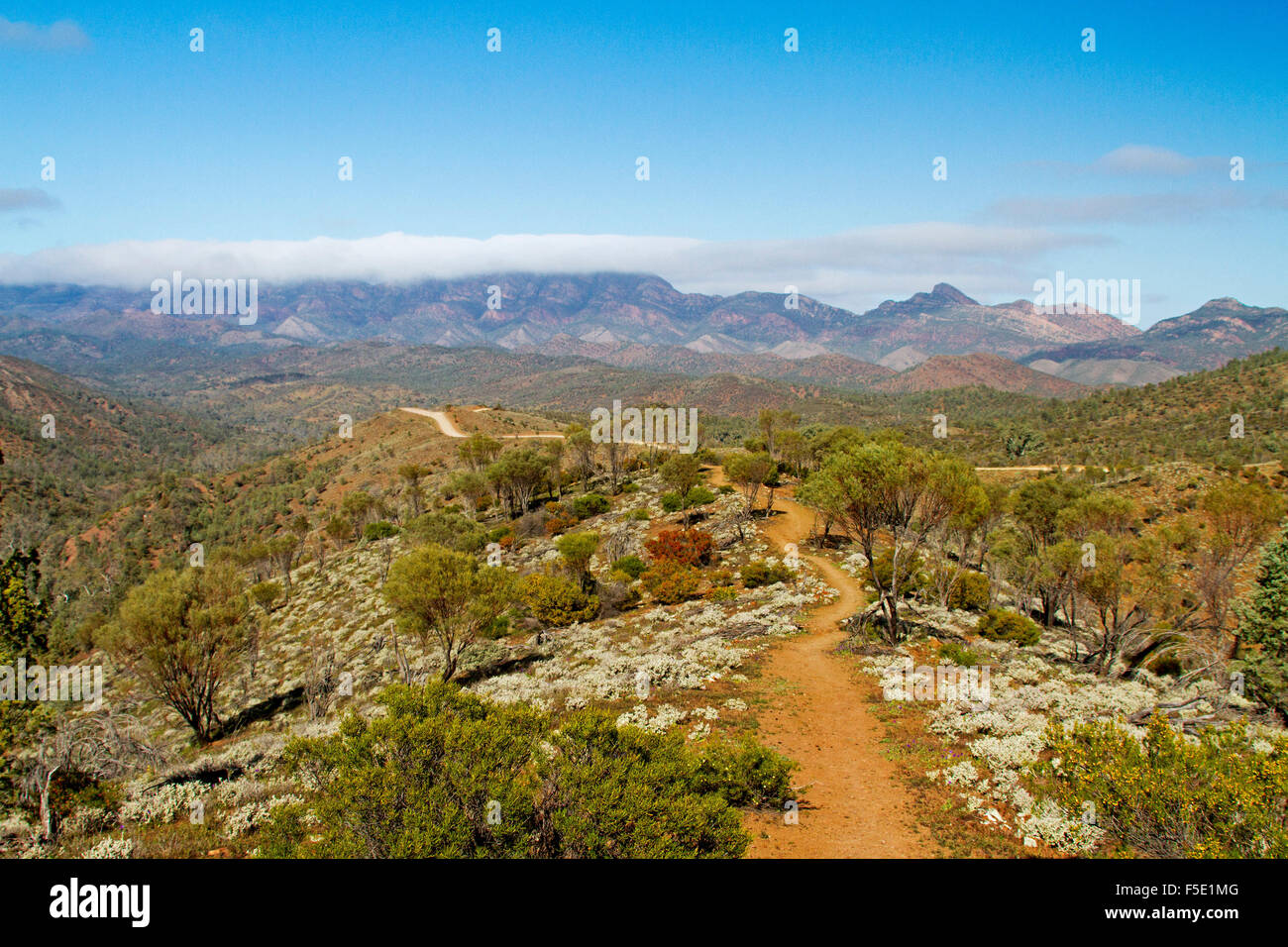 Spectacular landscape of peaks of Flinders Ranges rising beyond rolling ...