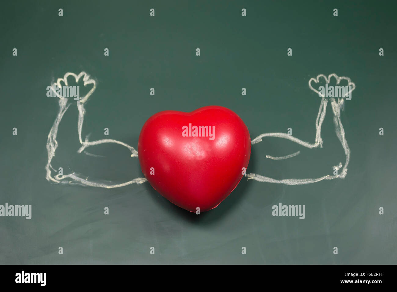 Heart muscle hi-res stock photography and images - Alamy