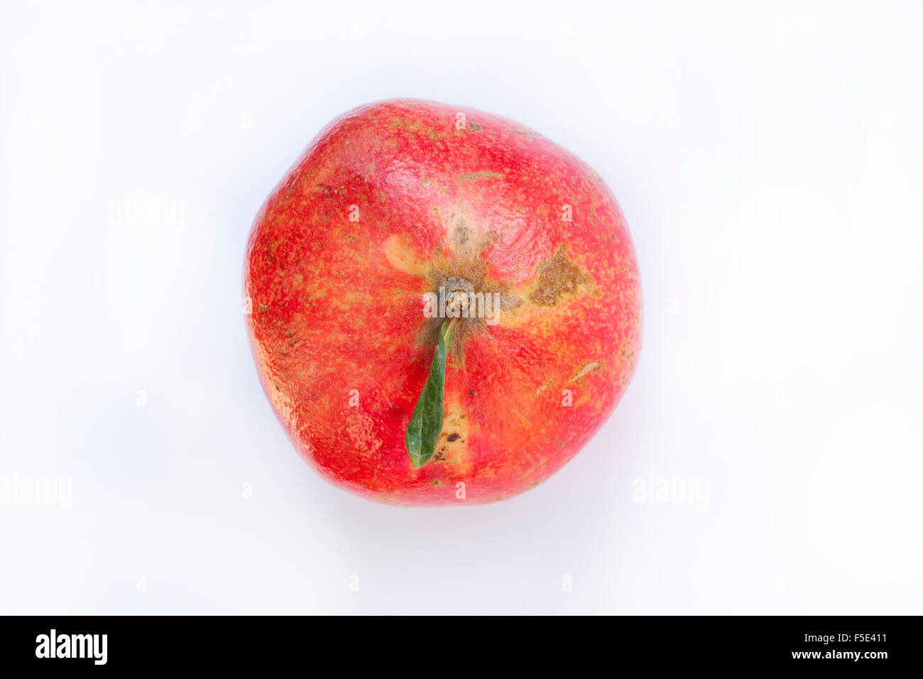 Single Pomegranate Isolated On White, closeup Stock Photo - Alamy