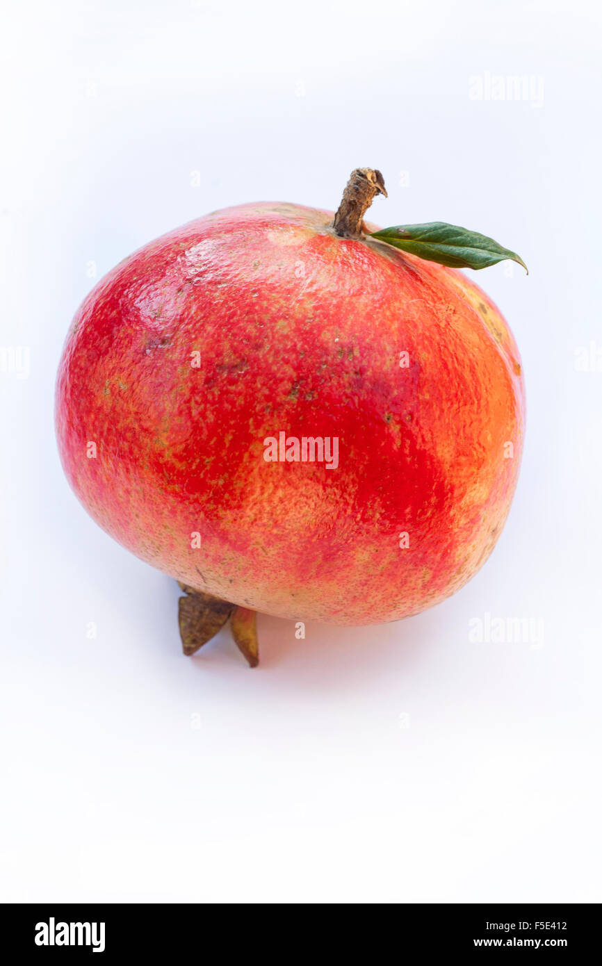 Single Pomegranate Isolated On White, closeup Stock Photo - Alamy
