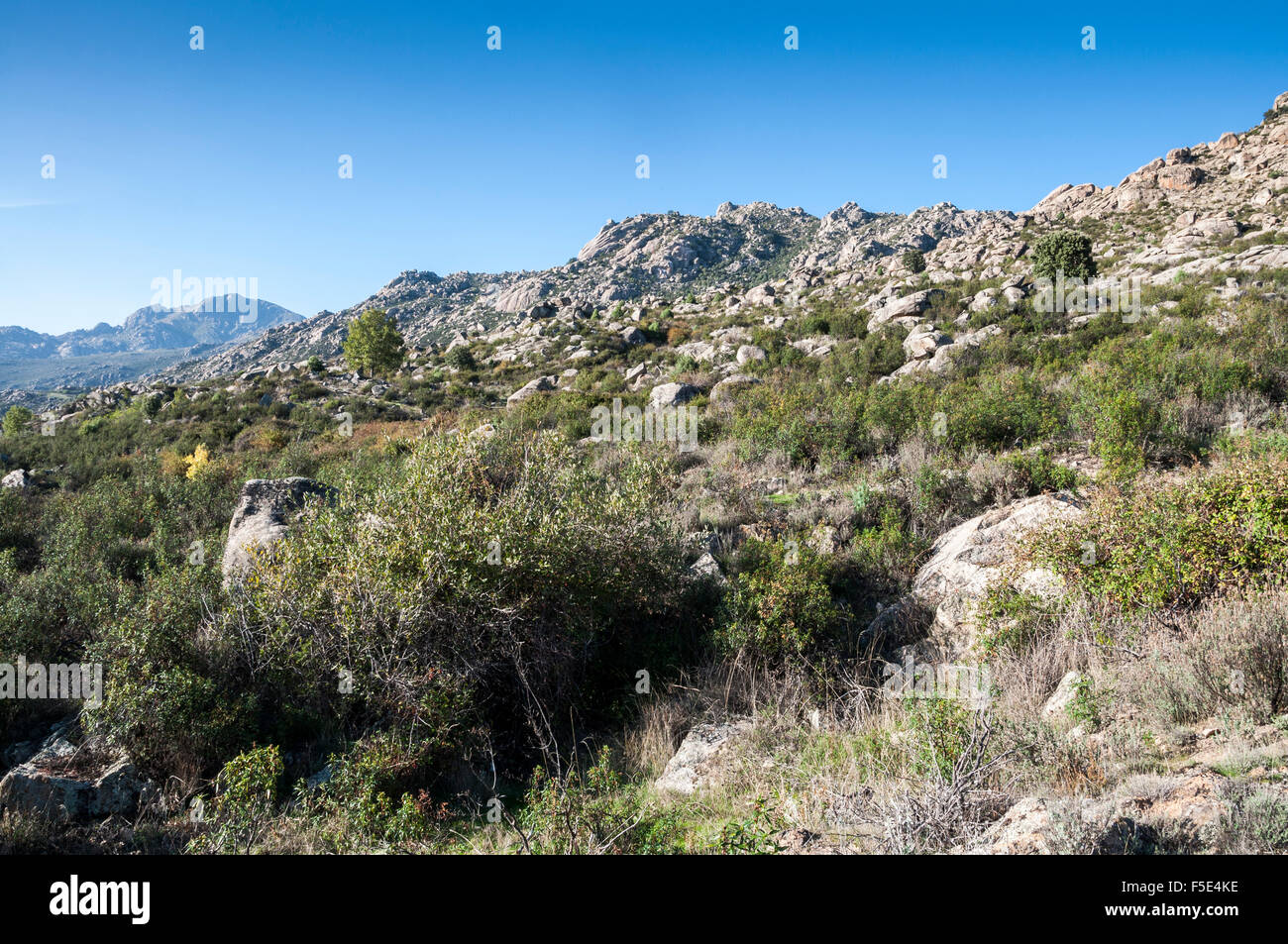 Mediterranean vegetation hi-res stock photography and images - Alamy