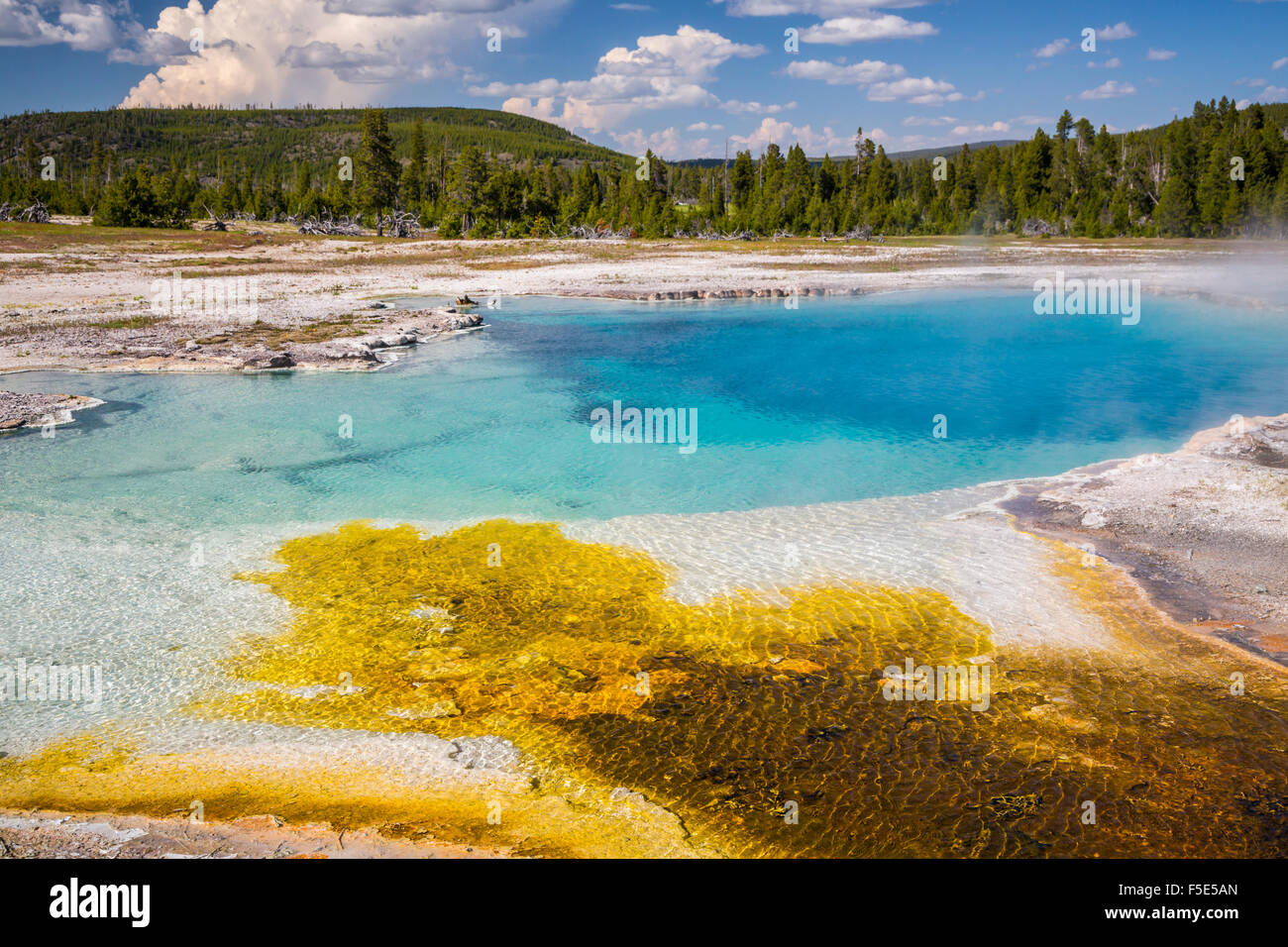 Colorful hot springs and pools in the Midway Geyser Basin in ...