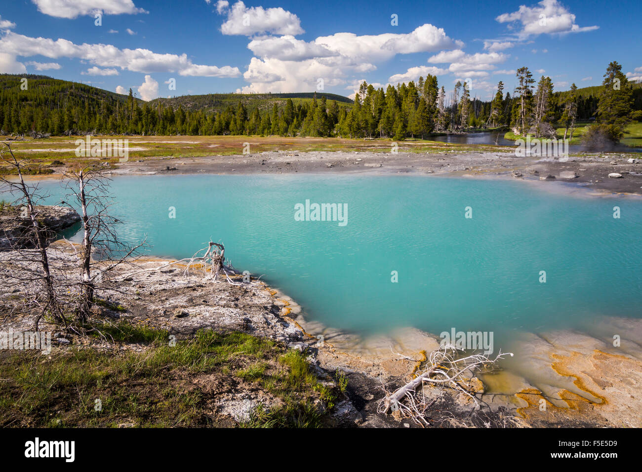 Colorful hot springs and pools in the Midway Geyser Basin in ...