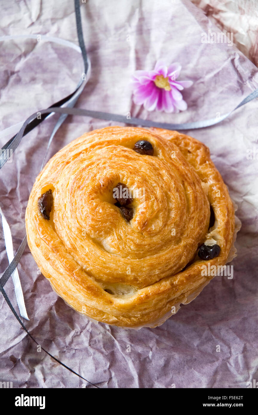danish roll with raisin on violet background Stock Photo - Alamy