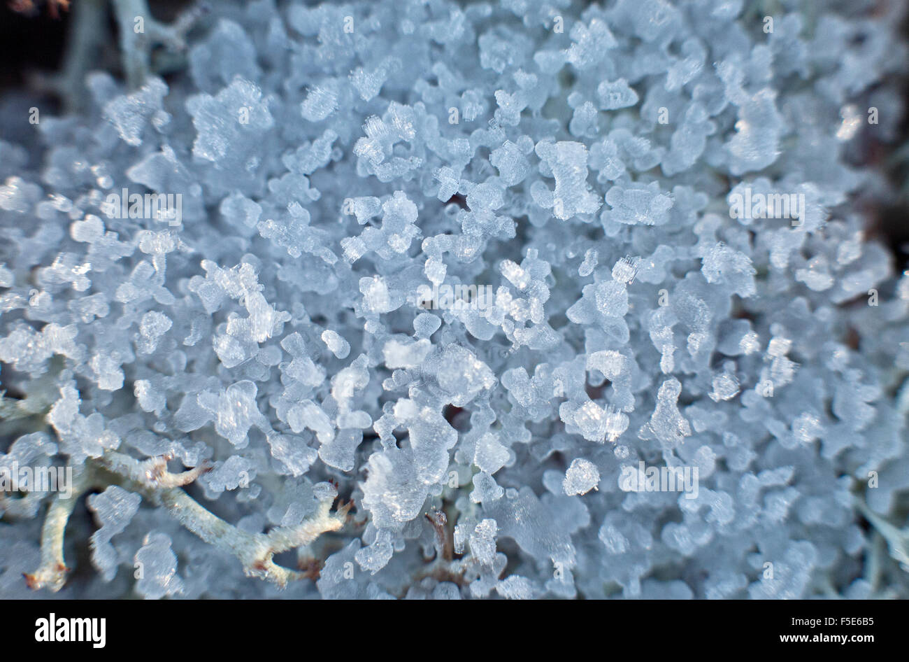 Rounded ice crystals formed frozen in wintertime Stock Photo - Alamy