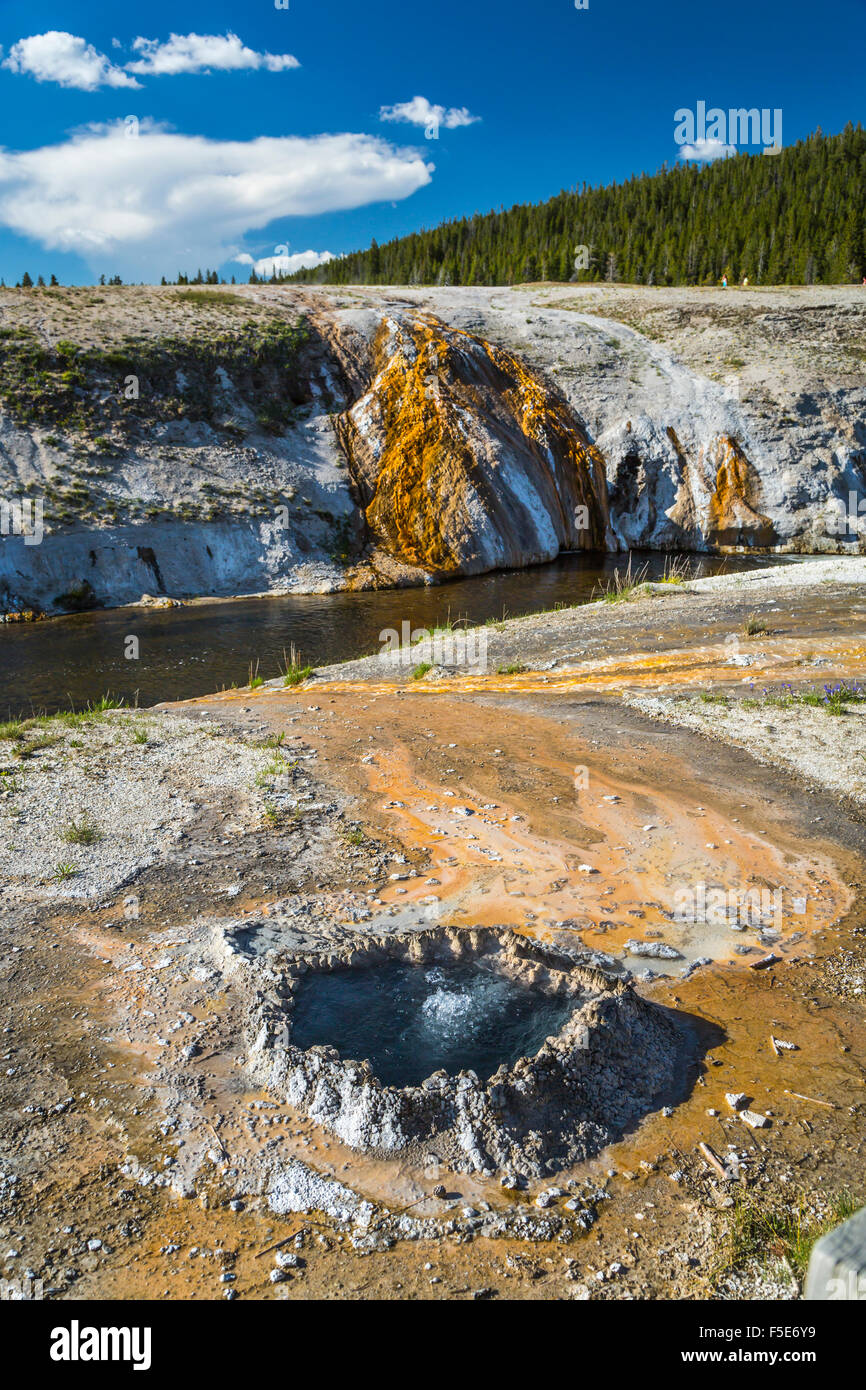 Colorful hot springs and pools in the Midway Geyser Basin in ...