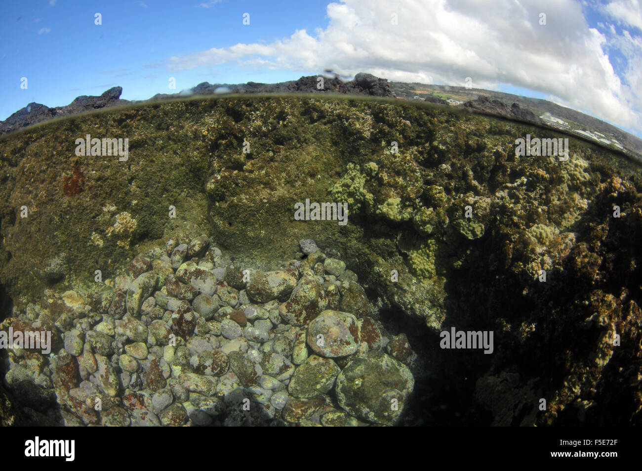 Tide pool, Manele Bay, Lanai, Hawaii, USA Stock Photo - Alamy