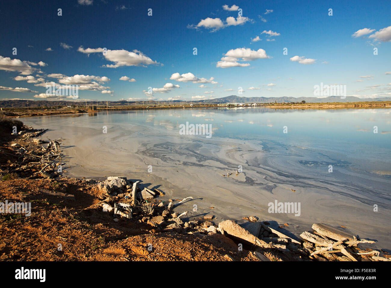 Pollution and contamination of water in upper Spencer Gulf , tidal ...