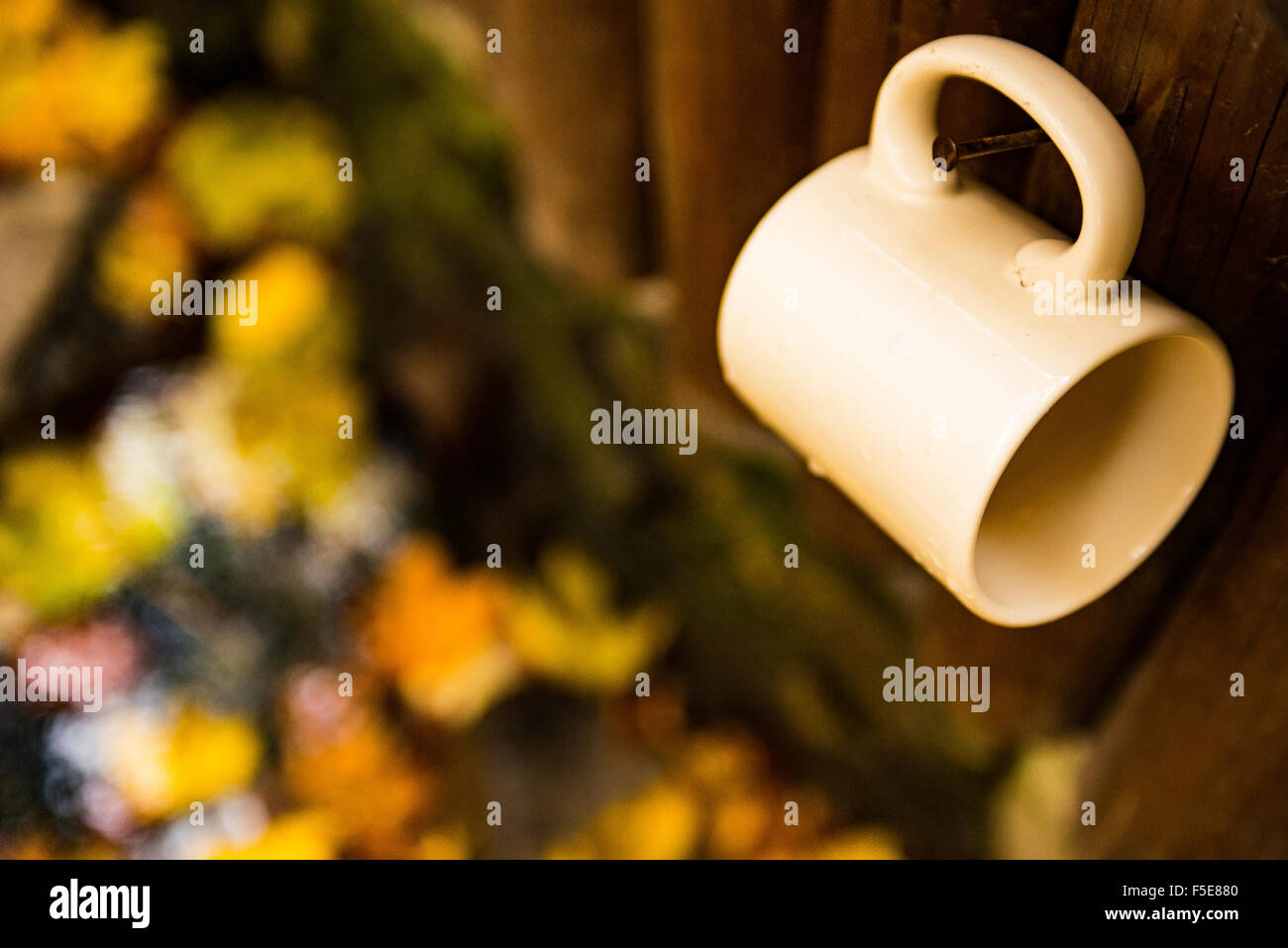 Water spring well in nature with white ceramic cup above Stock Photo ...