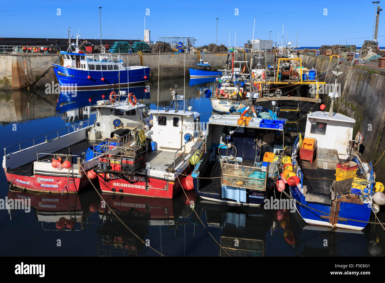 Colourful fishing boats in harbour on a sunny summer evening, Seahouses ...