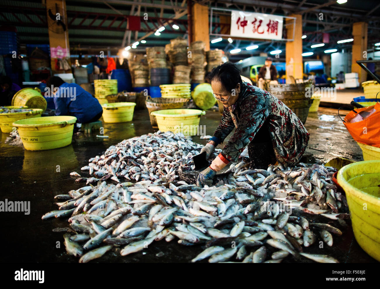 Aberdeen Fish Market Hong Kong at Andre Thompson blog