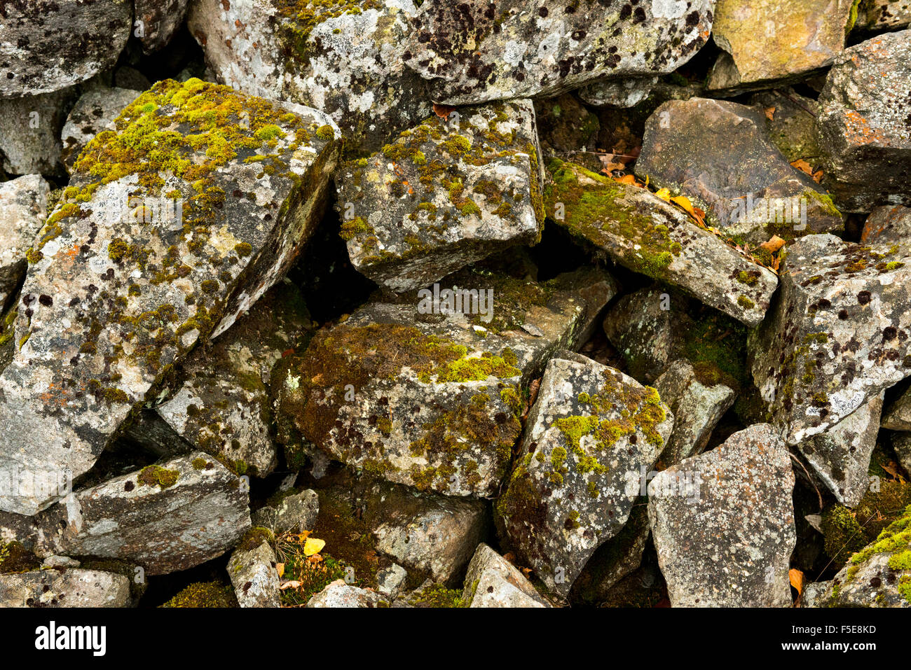 abstract background from stones covered by moss, sharp irregular stones ...