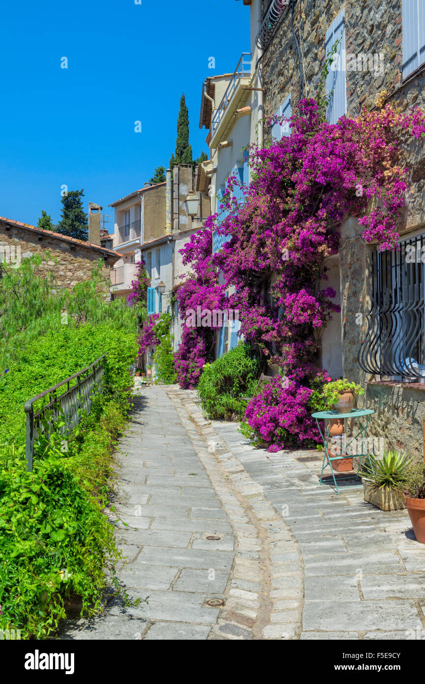 Narrow street, Grimaud Medieval village, Var, Provence Alpes Cote d ...