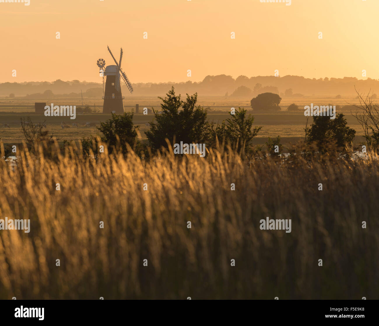 A view across marshland towards Berney Arms Mill, Norfolk, England ...