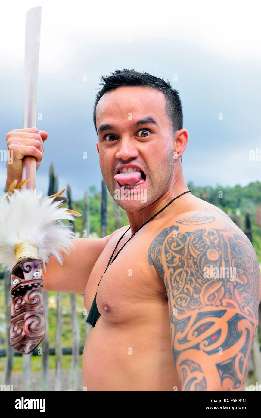 Maori male reproducing part of the Maori challenge(Haka)with a spear at ...