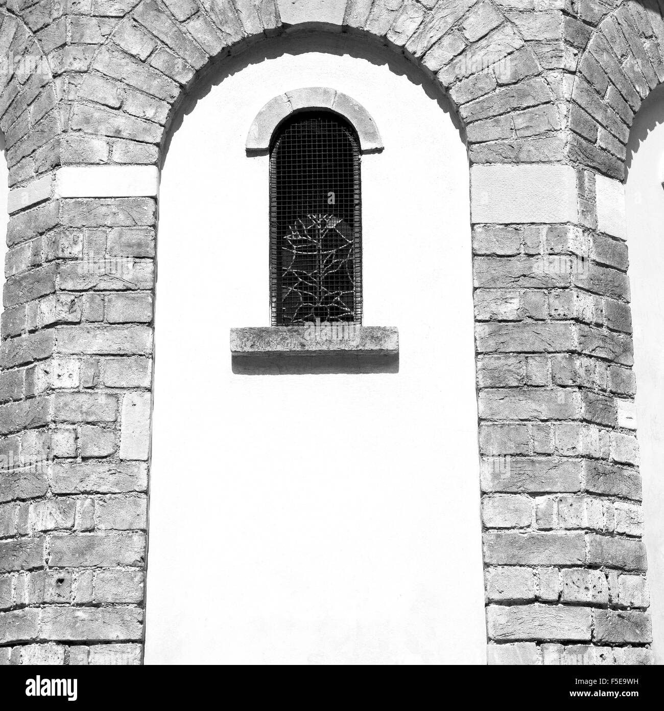 antique contruction in italy europe marble and rose window the wall ...