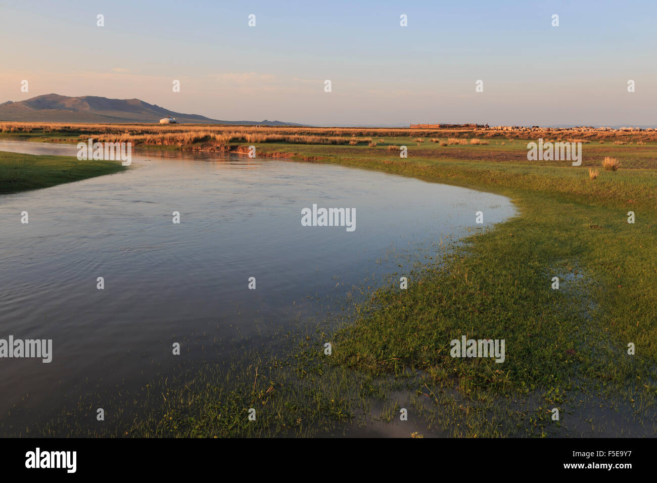 River flows past ger, stock pen and herd lit by summer sunrise, distant ...