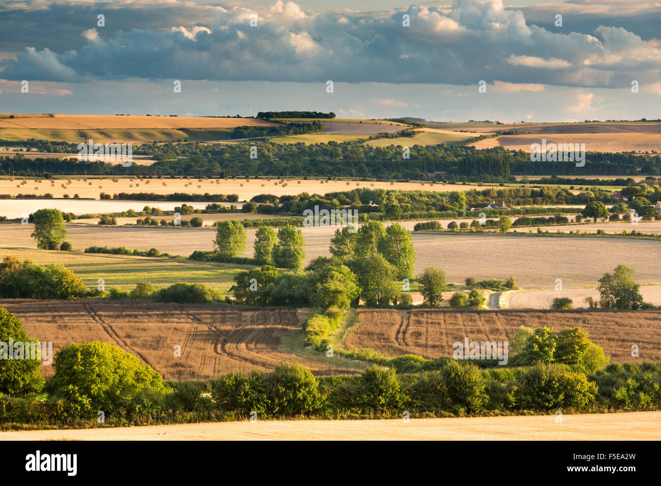 Wittenham Clumps, Thames Valley, Oxfordshire, England, United Kingdom ...