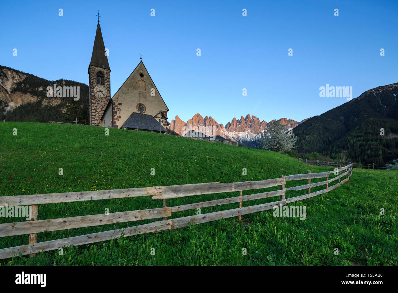 Ranui hi-res stock photography and images - Alamy