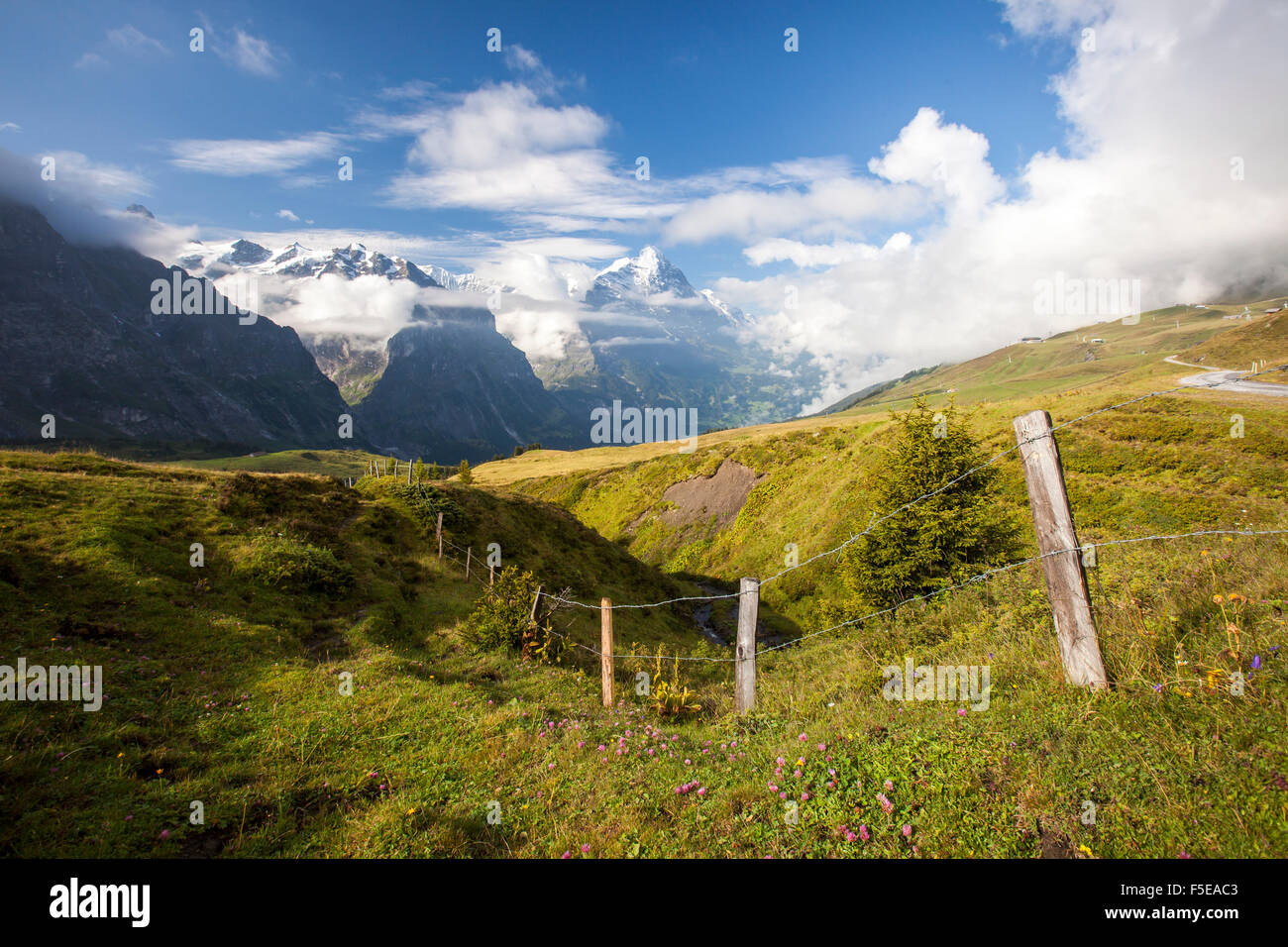 Eiger hi-res stock photography and images - Alamy