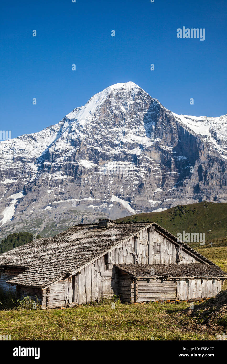 Wood hut with Mount Eiger in the background, Mannlichen, Grindelwald ...