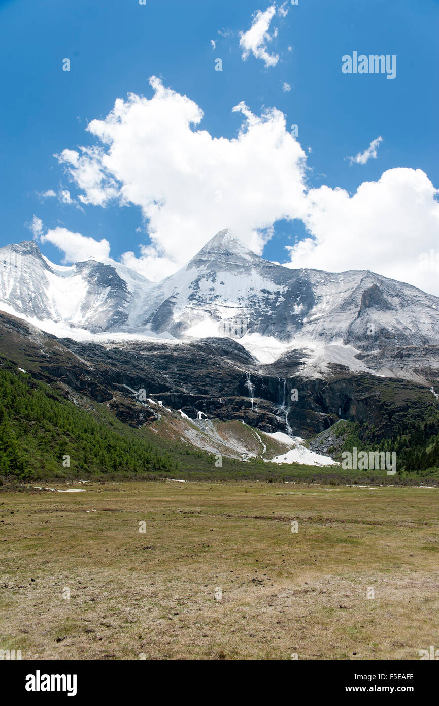 Tibet snow mountain with Grassland in China Stock Photo - Alamy