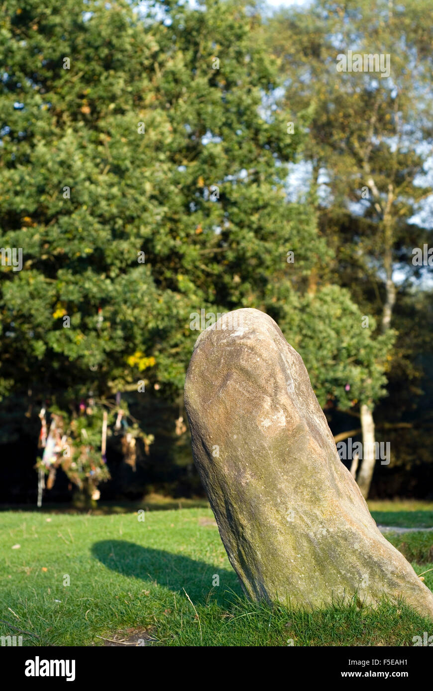 Wishing tree glimpsed between two small standing stones of the Nine ...