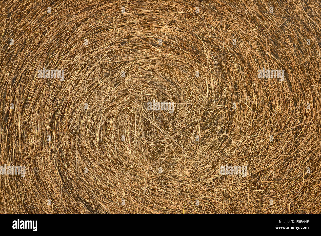 Closeup of hay bale hi-res stock photography and images - Alamy