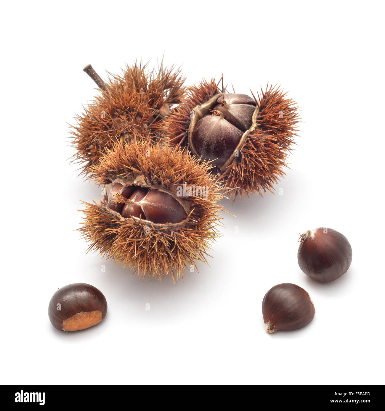 edible chestnuts on white Stock Photo - Alamy