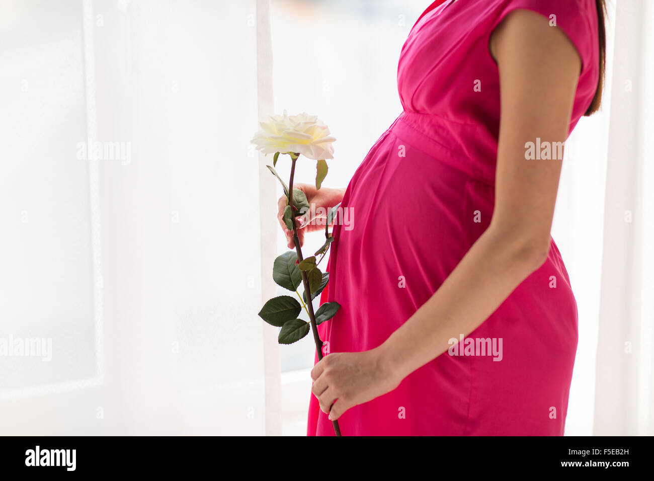 happy pregnant woman with rose flower at home Stock Photo - Alamy