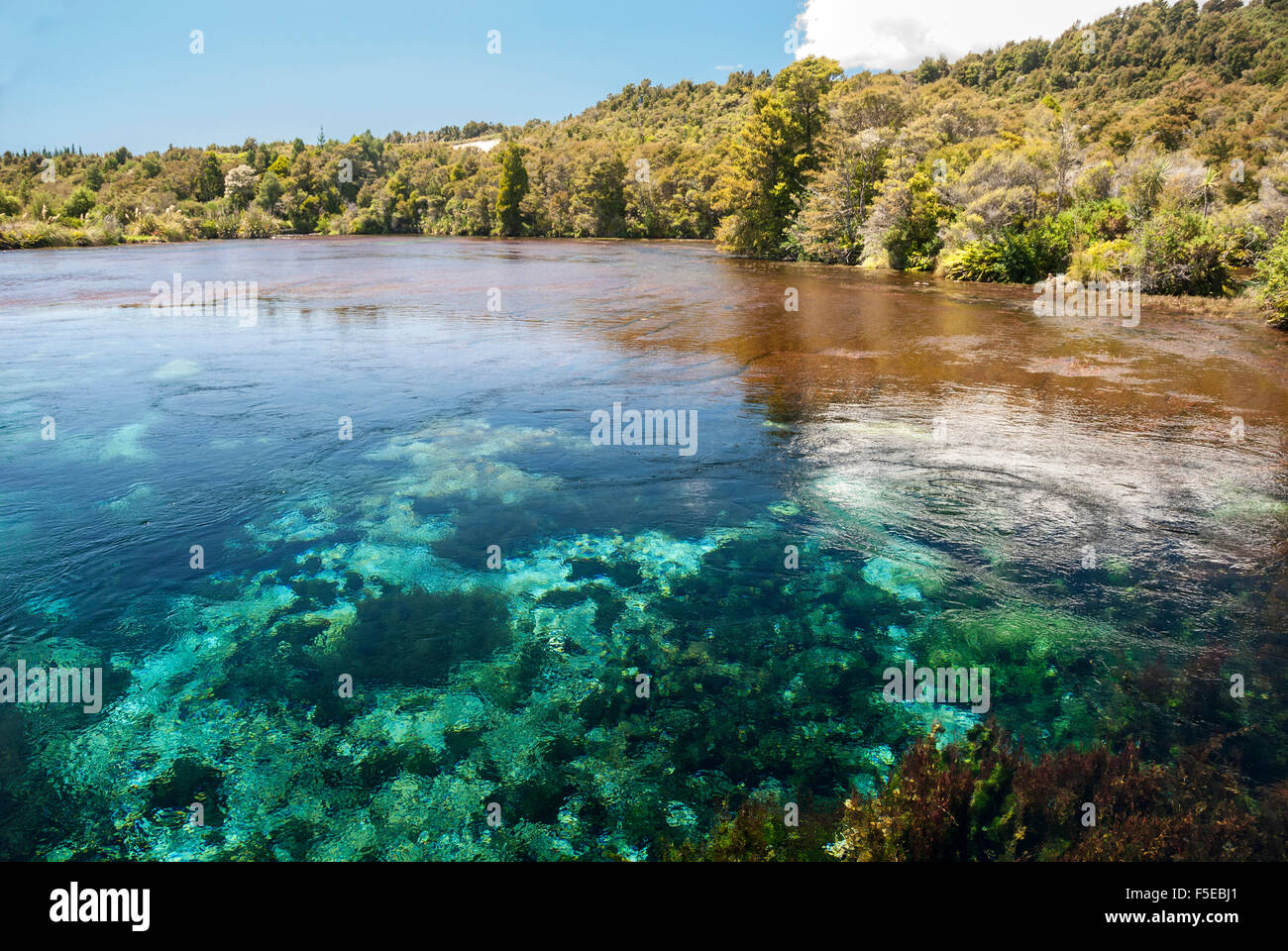 Takaka hi-res stock photography and images - Alamy