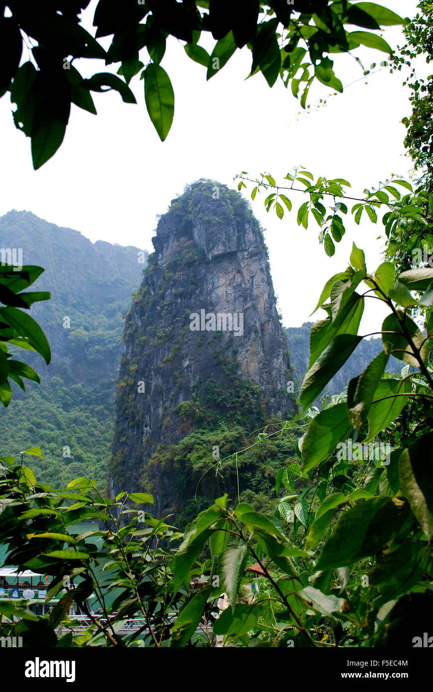 Tall rock island surrounded by jungle in Halong Bay, Vietnam, Southeast ...